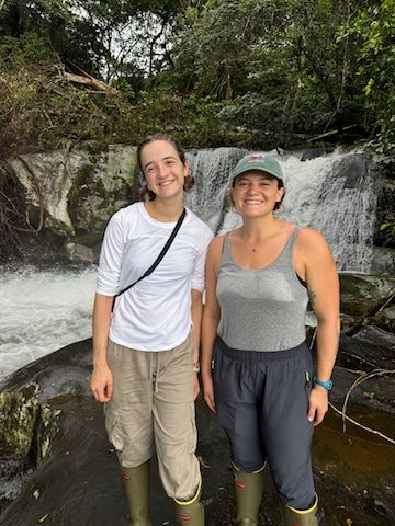 Bats, poaching and the pulse of the forest: Rice researchers lead ...