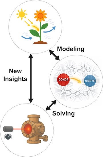 Quantum simulator sheds light on how nature moves energy in systems ...